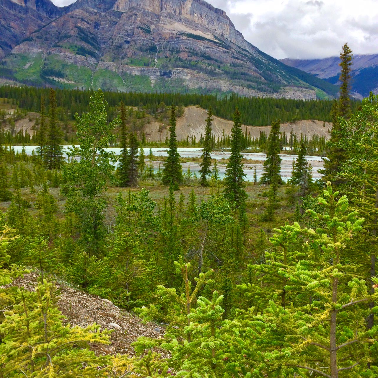 Saskatchewan River Crossing, in Alberta
